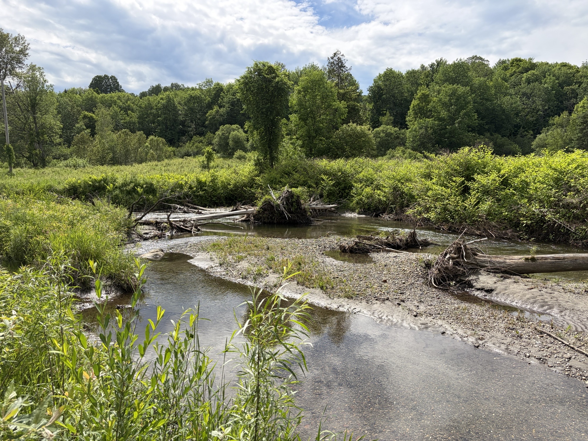 Fishing Access Areas | VT Fish&Wildlife