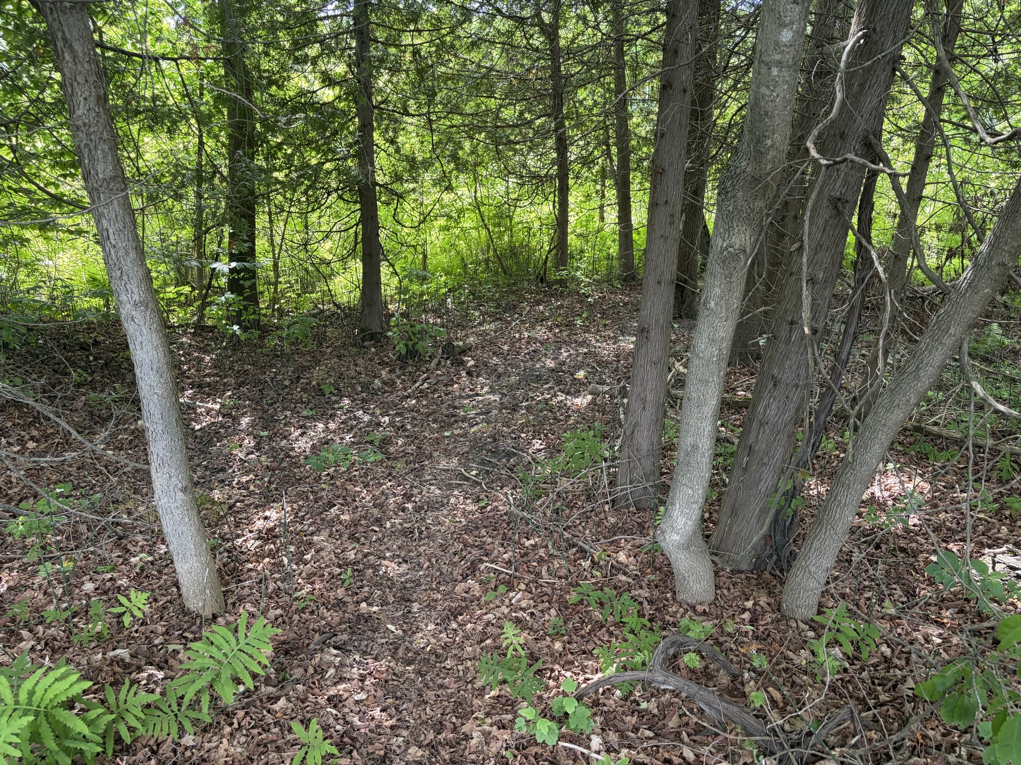 Fishing Access Areas | VT Fish&Wildlife