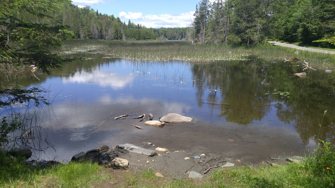 Fishing Access Areas | VT Fish&Wildlife