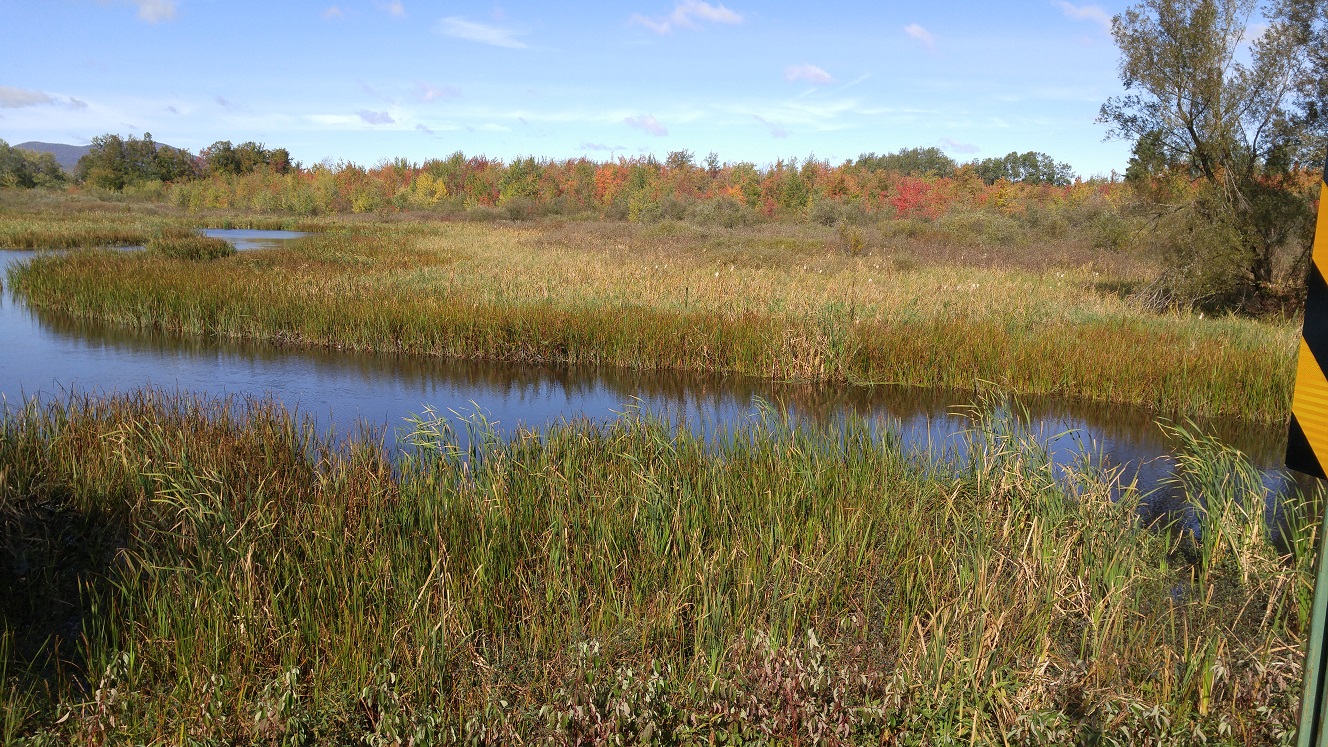 Fishing Access Areas | VT Fish&Wildlife