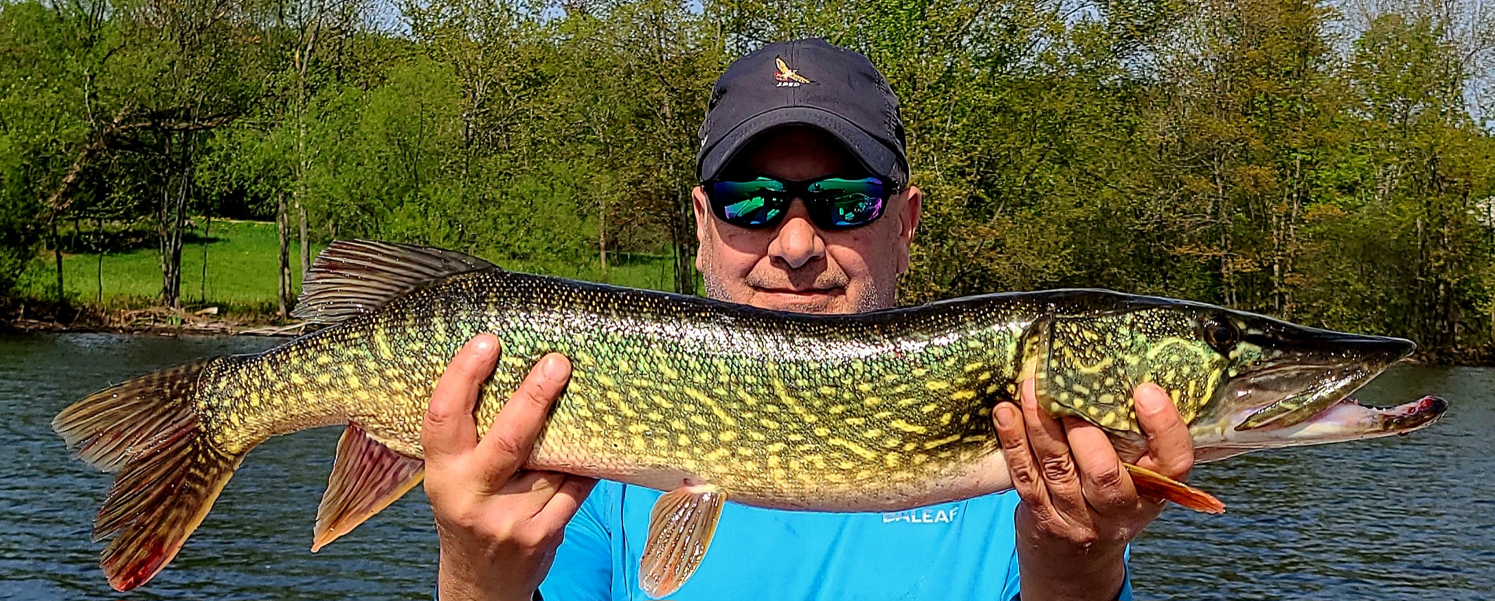 Master Angler Search | VT FWD