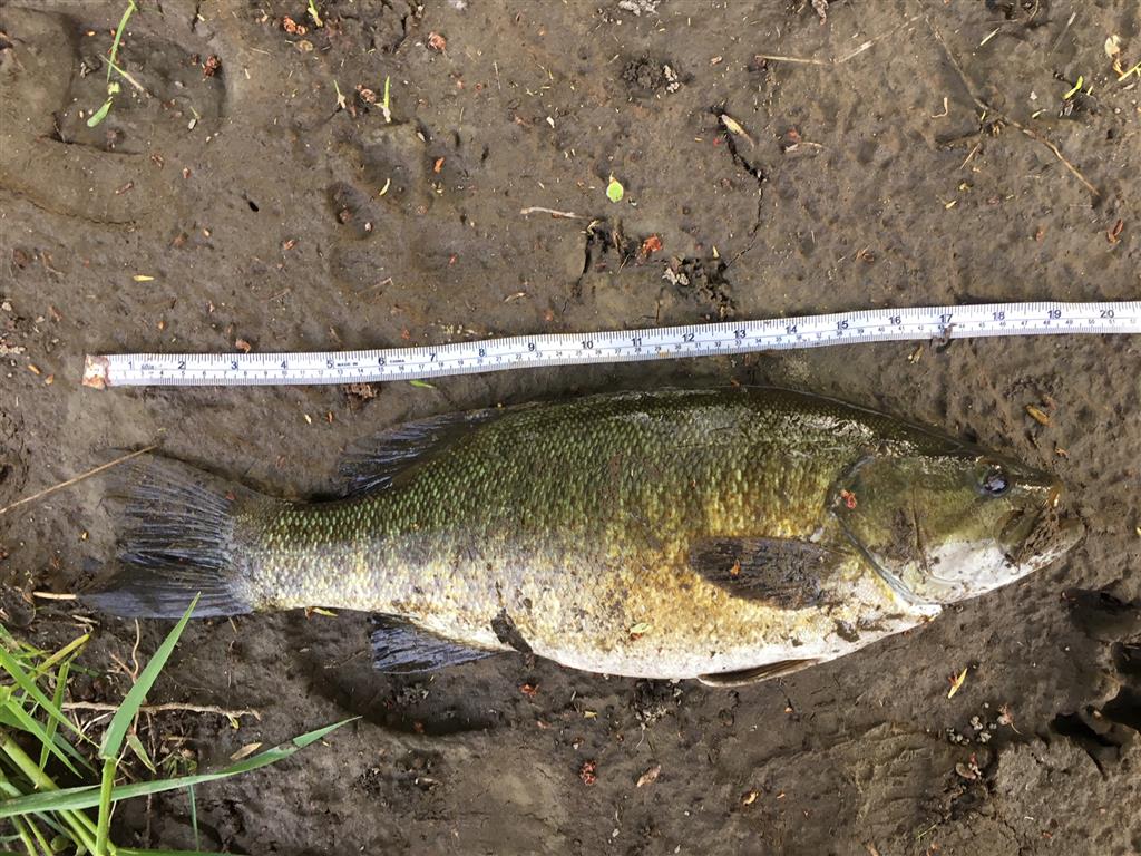 VT Fish & Wildlife Master Angler Search