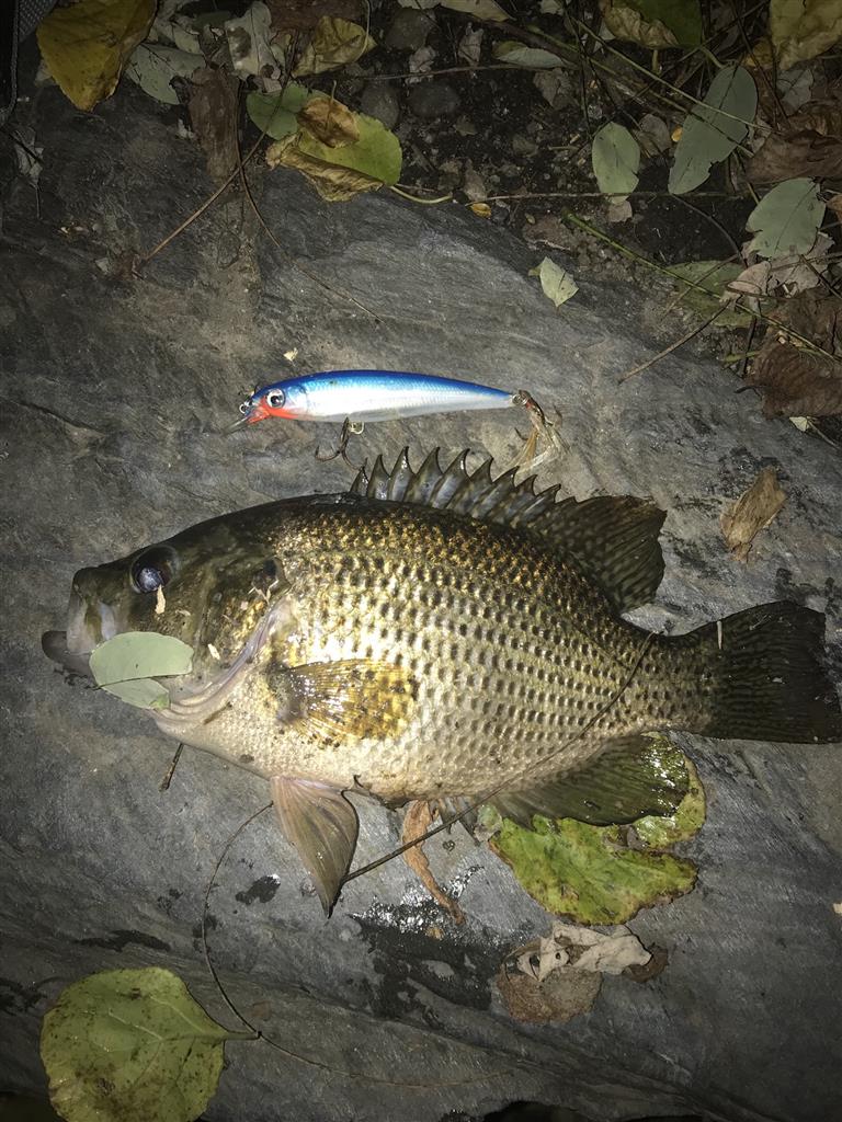 VT Fish & Wildlife Master Angler Search