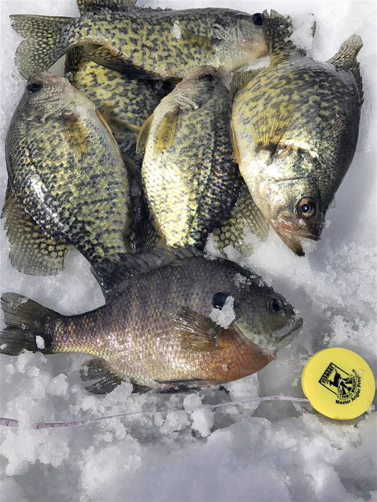 VT Fish & Wildlife Master Angler Search