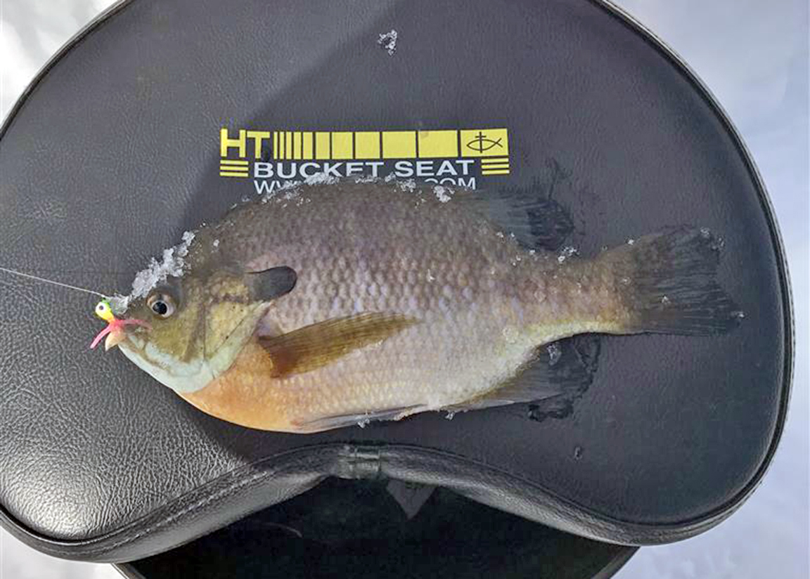 VT Fish & Wildlife Master Angler Search
