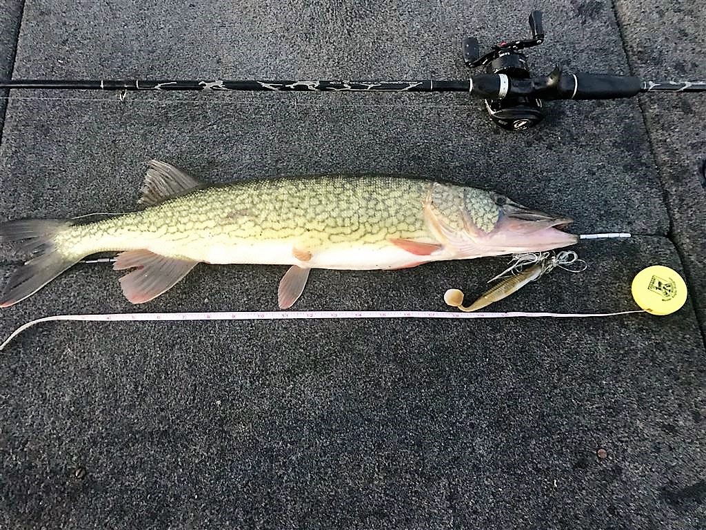 VT Fish & Wildlife Master Angler Search