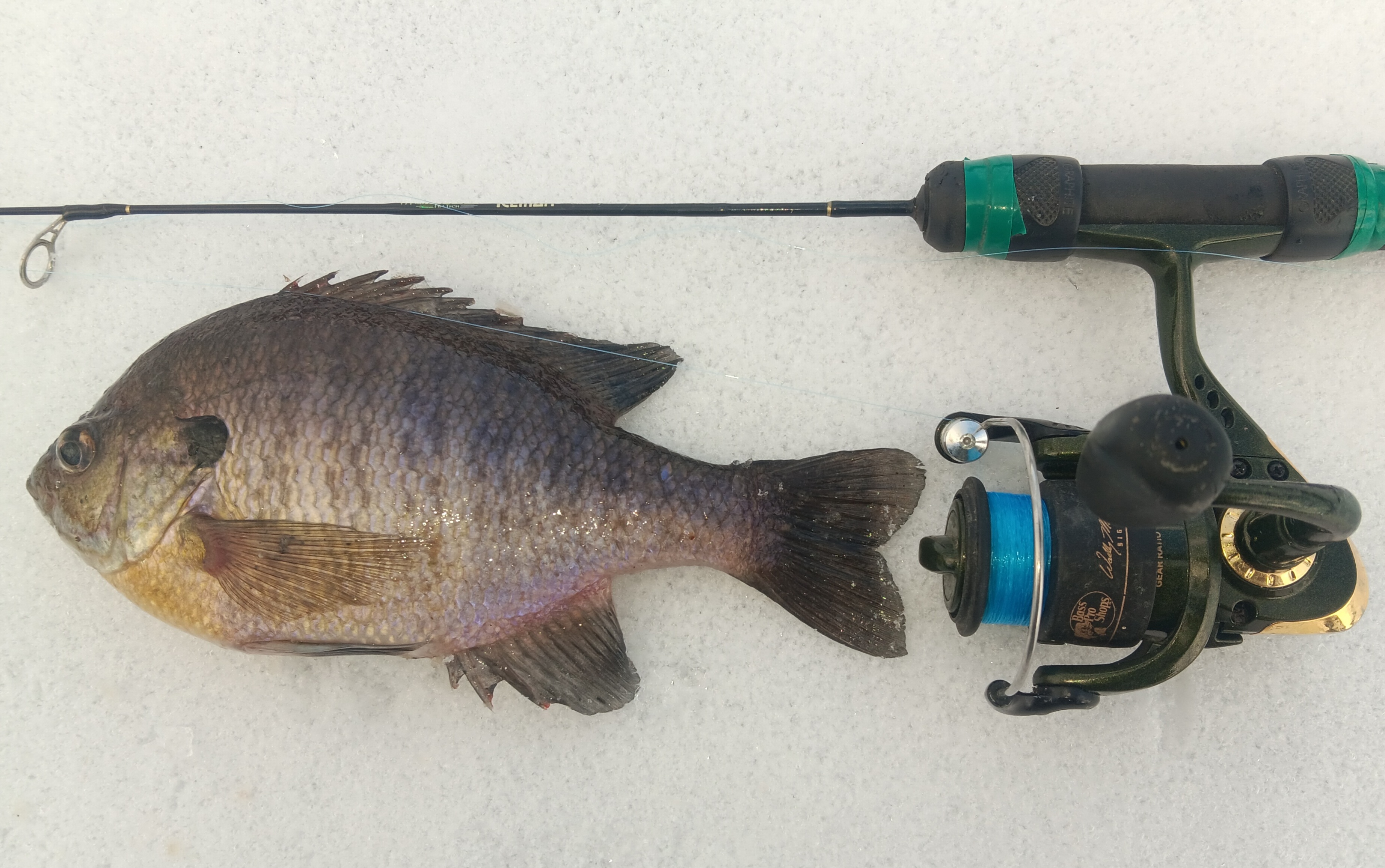 Master Angler Search | VT FWD