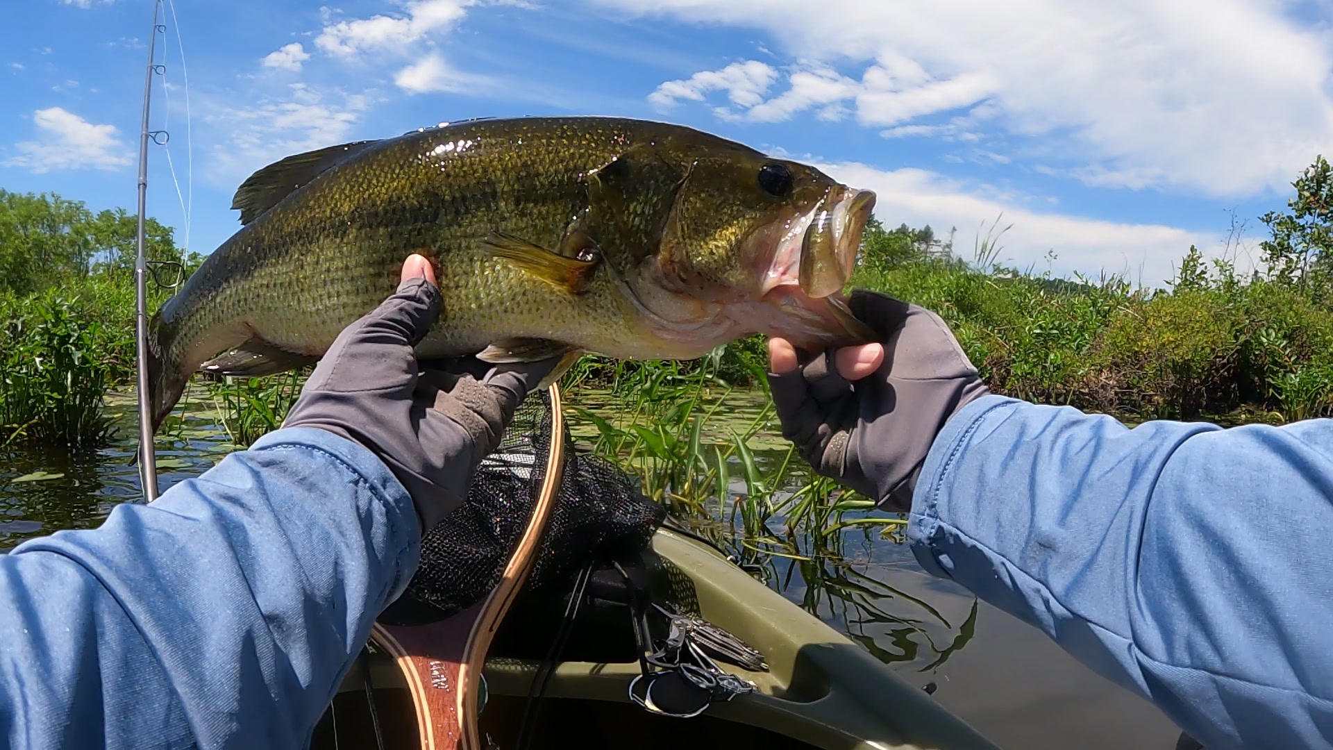 Master Angler Search | VT FWD