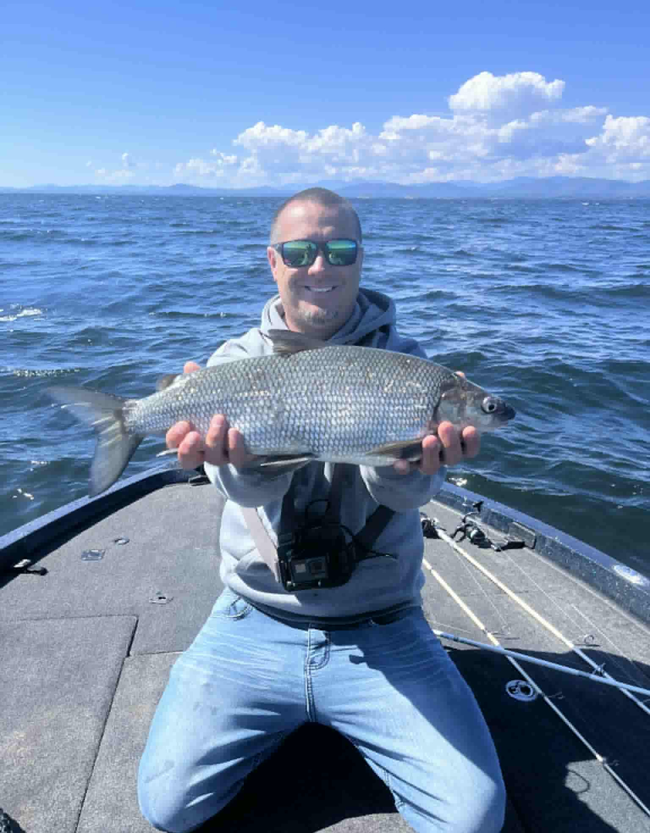 Master Angler Search | VT FWD