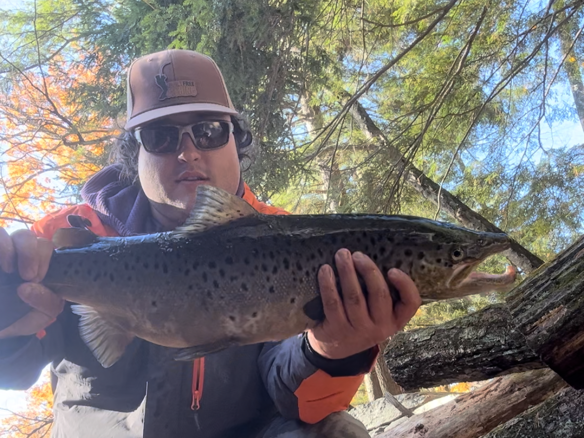 Master Angler Search | VT FWD